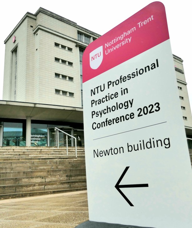 You can do it! Translating theory into professional practice ...